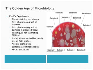 Introduction to Microbiology, History, m | PPT