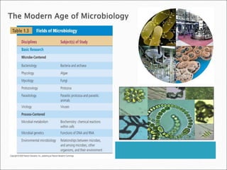 Introduction to Microbiology, History, m | PPT