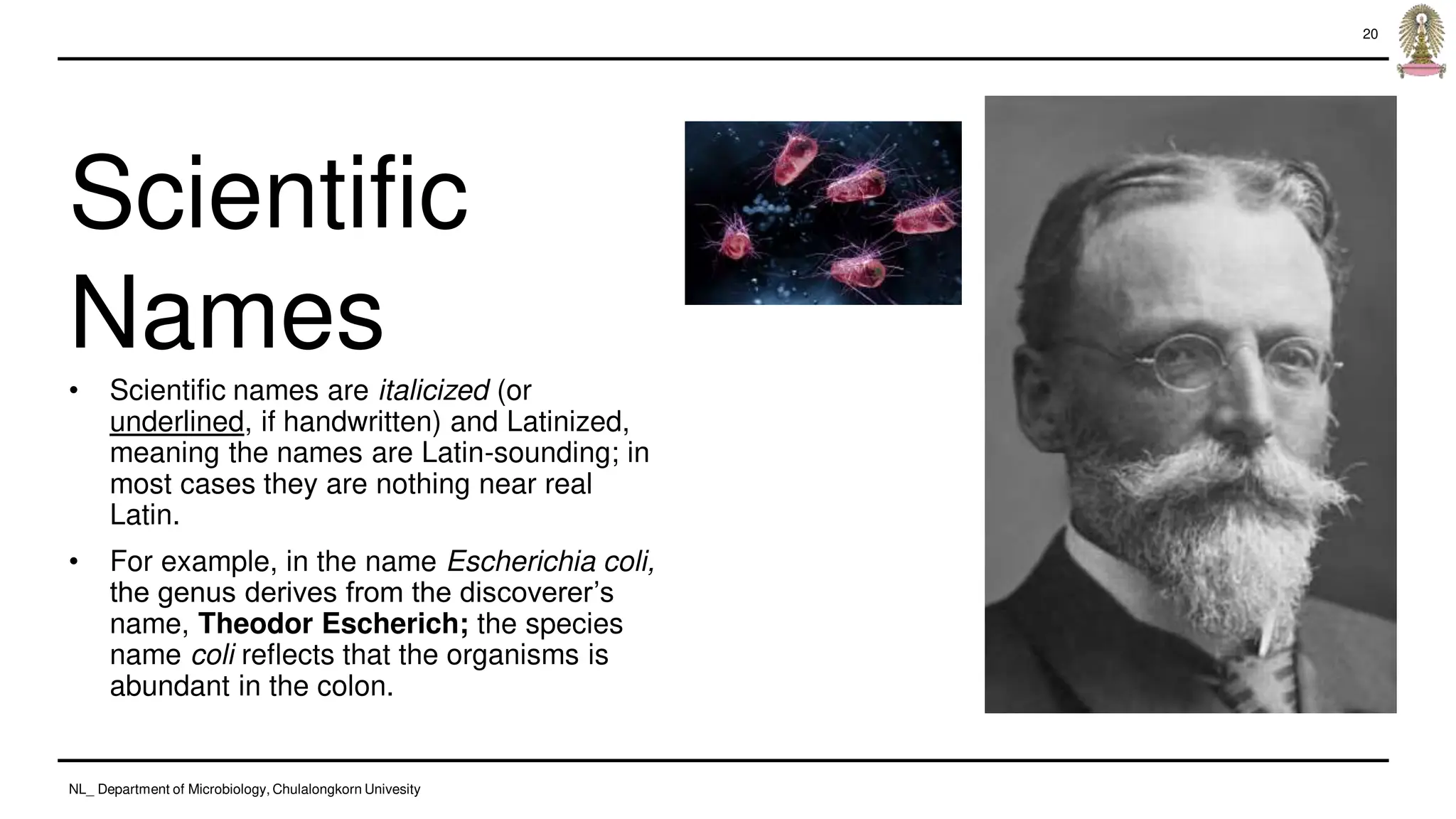 Introduction _to _Microbiology and it’s history | PDF