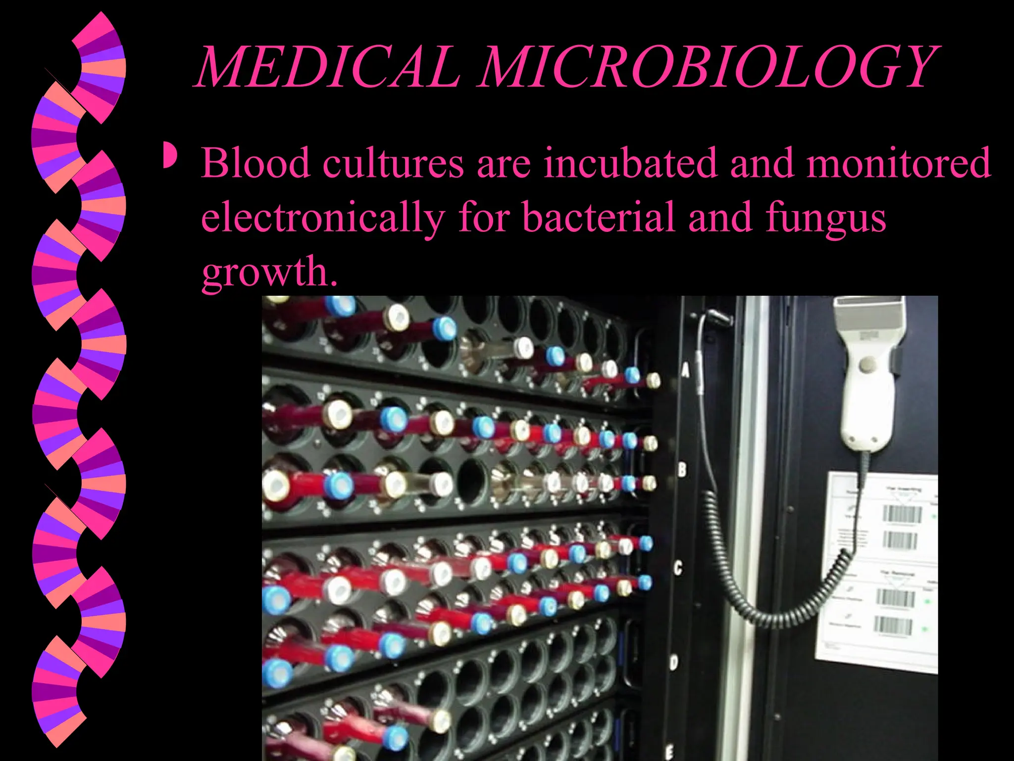 Introduction_to_Microbiology.ppt for sttudent | PPT