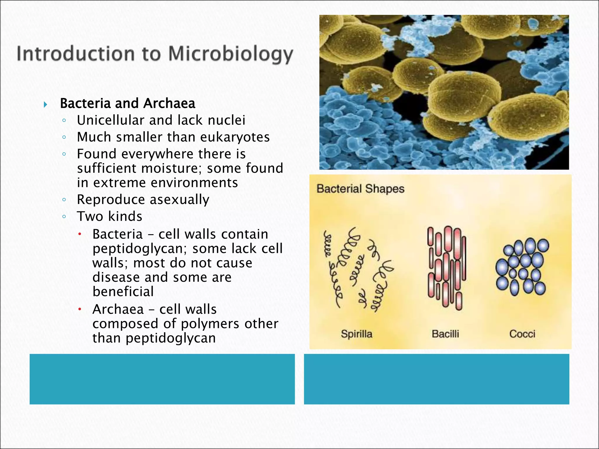 Introduction to Microbiology 081210 FV.ppt