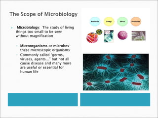 Introduction to Microorganism | PPT