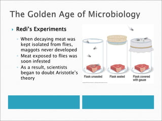 Introduction to Microorganism | PPT