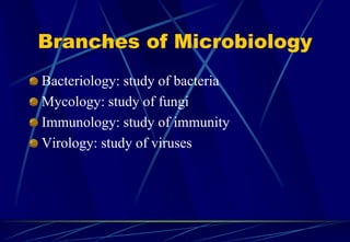Introduction to microbiology | PPTX