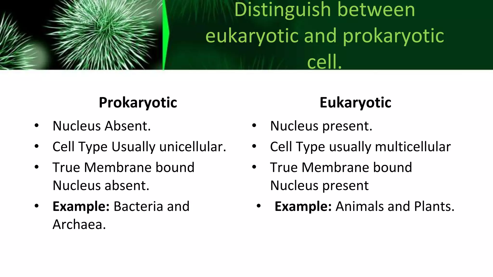 Introduction to Microbiology (1).pptx
