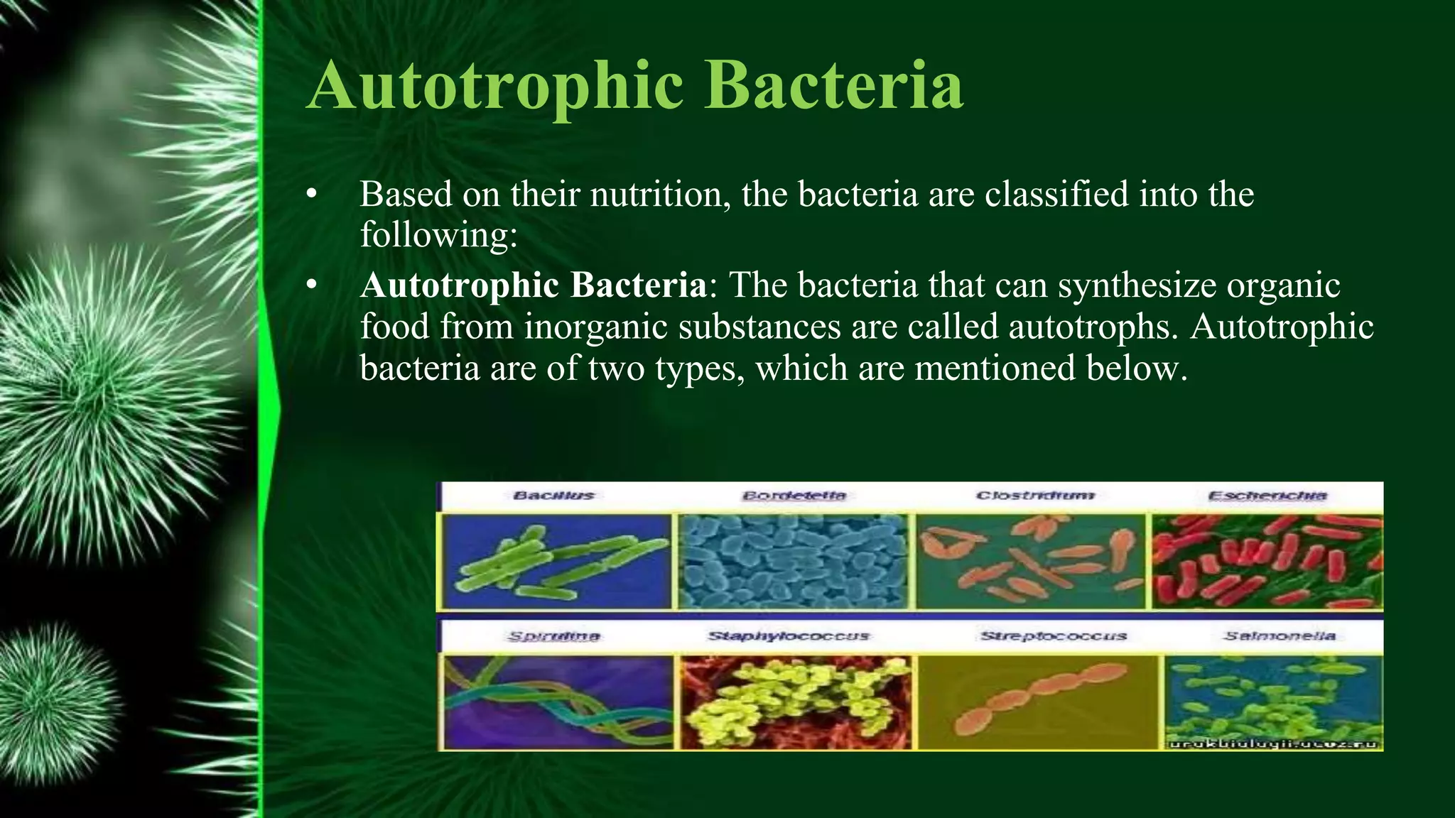 Introduction to Microbiology (1).pptx
