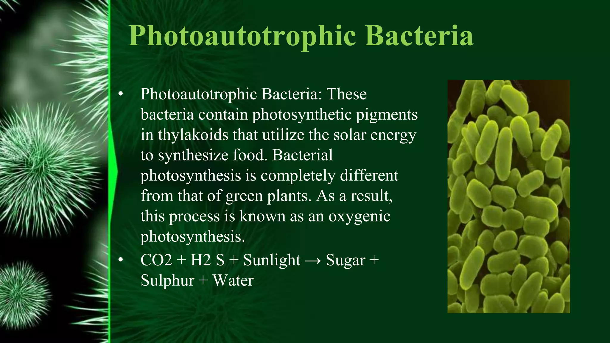 Introduction to Microbiology (1).pptx