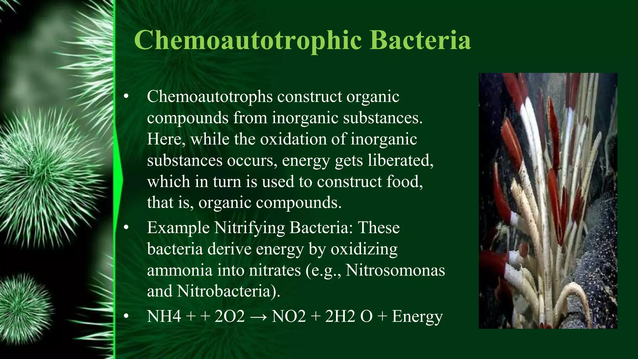 Introduction to Microbiology (1).pptx
