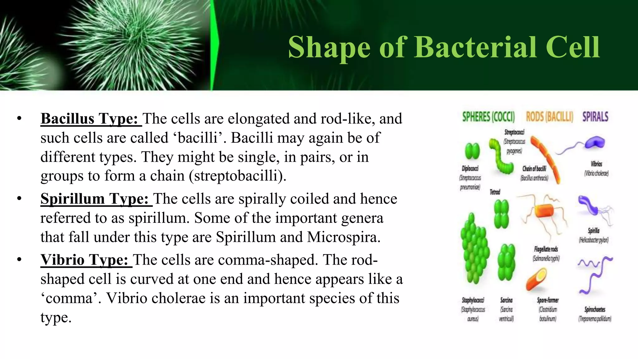 Introduction to Microbiology (1).pptx