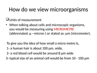 Introduction to Microbiology power point | PPT