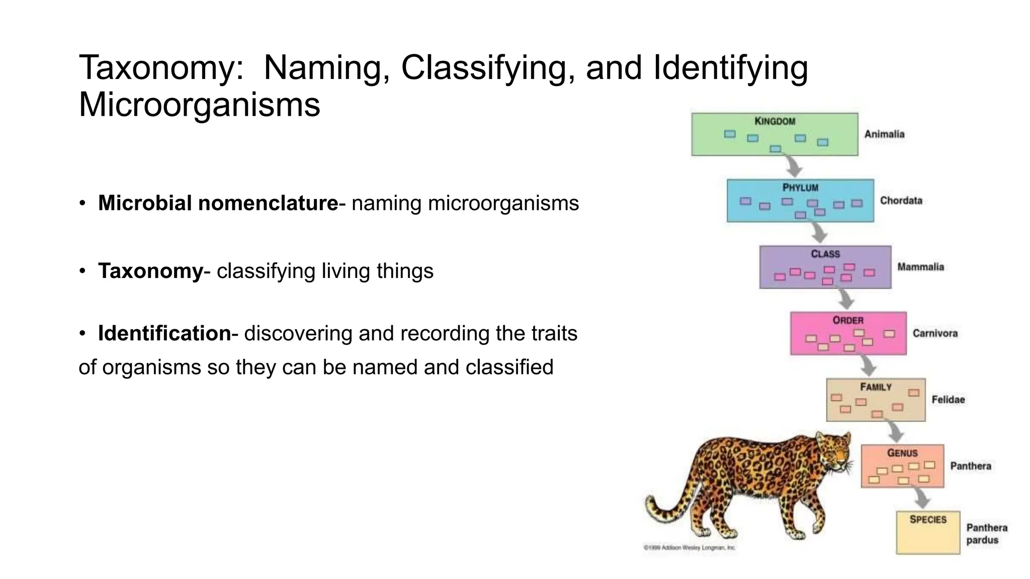 Introduction to Microbiology and Classification of Microorganisms.pptx