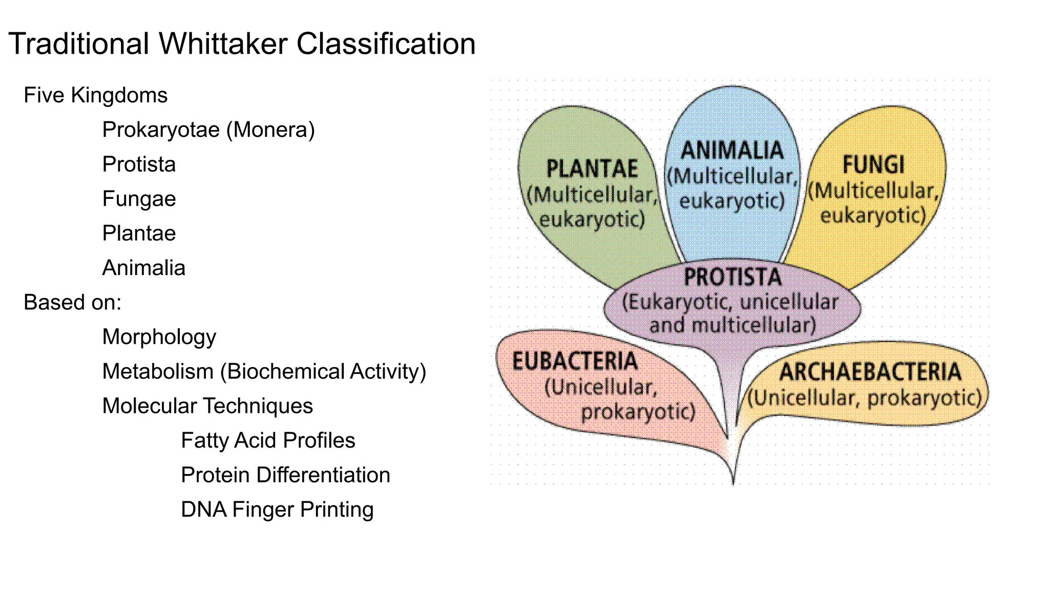 Introduction to Microbiology and Classification of Microorganisms.pptx