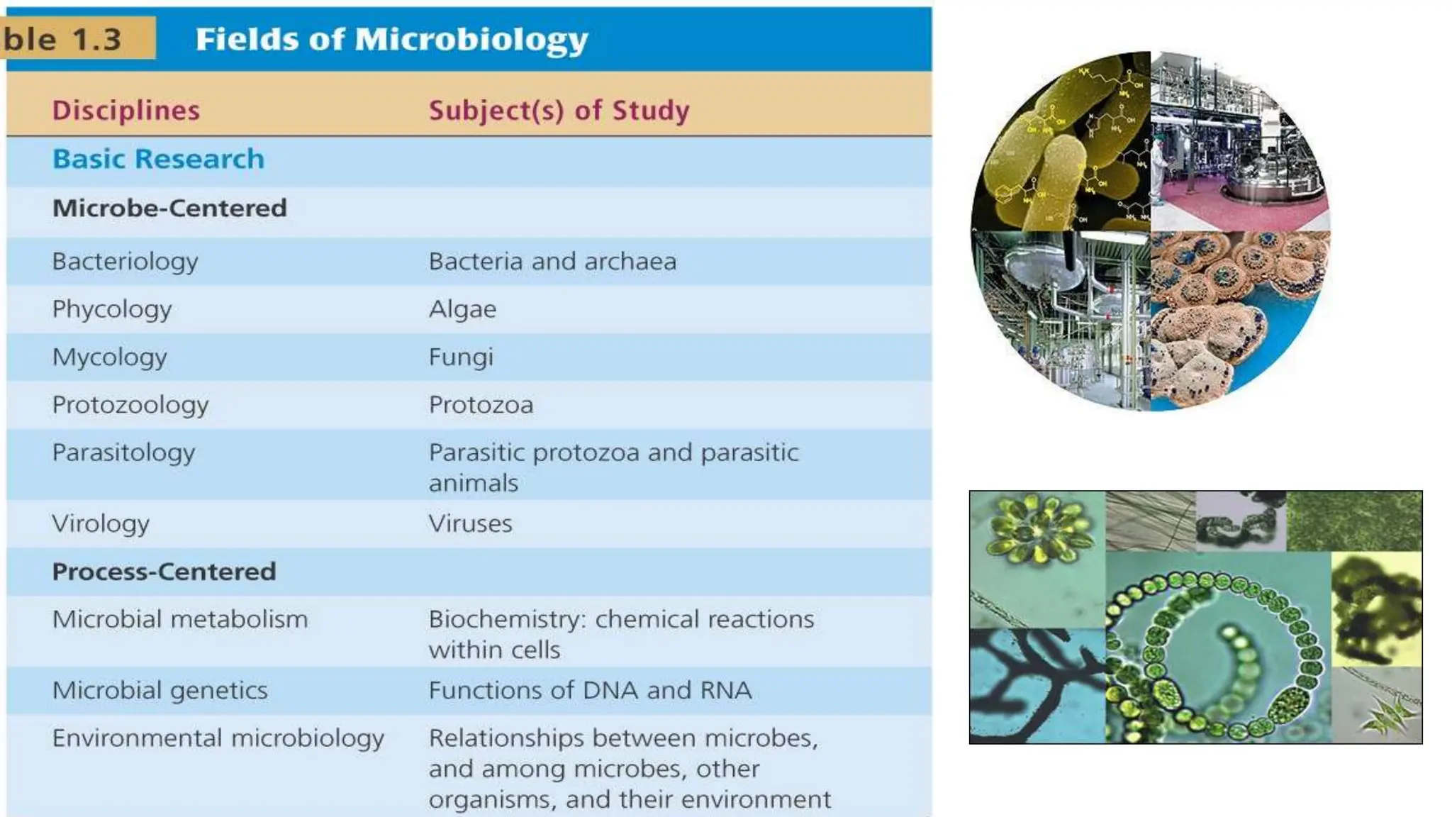 Introduction to Microbiology and Classification of Microorganisms.pptx