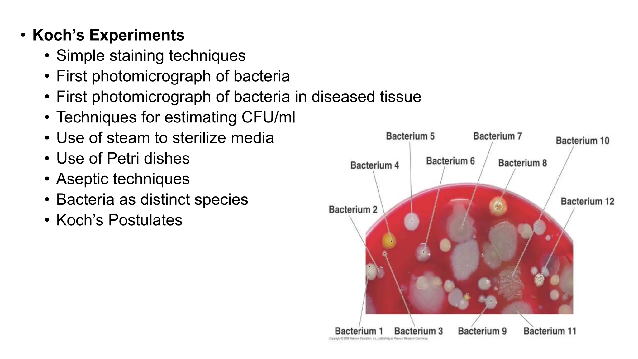 Introduction to Microbiology and Classification of Microorganisms.pptx