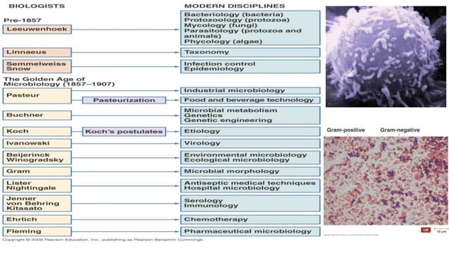 Introduction to Microbiology and Classification of Microorganisms.pptx