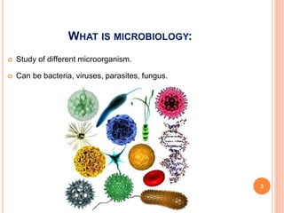 Introduction to microbiology and Epidemiology | PPT
