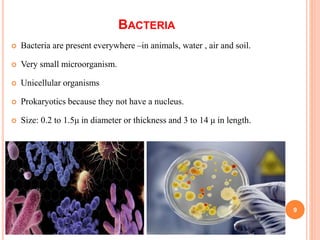 Introduction to microbiology and Epidemiology | PPTX
