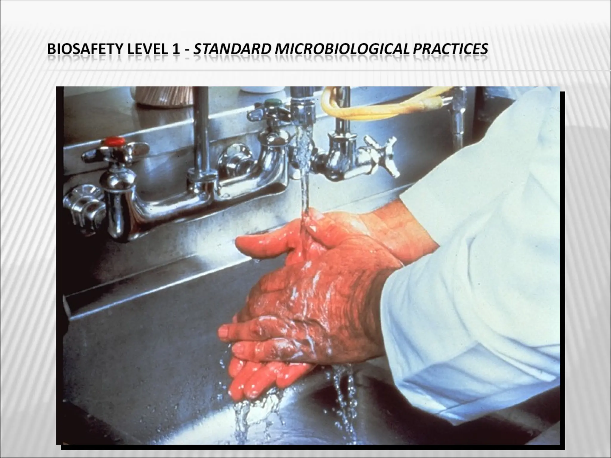 Introduction to Microbiology and Laboratory Safety revised.ppt