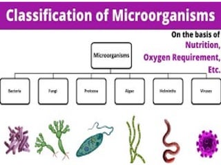 INTRODUCTION TO MICROBIOLOGY AND MICROORGANISMS (1).pptx