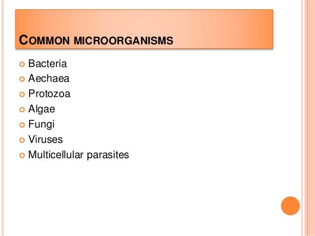 Introduction to microbiology & common microorganisms | PPTX