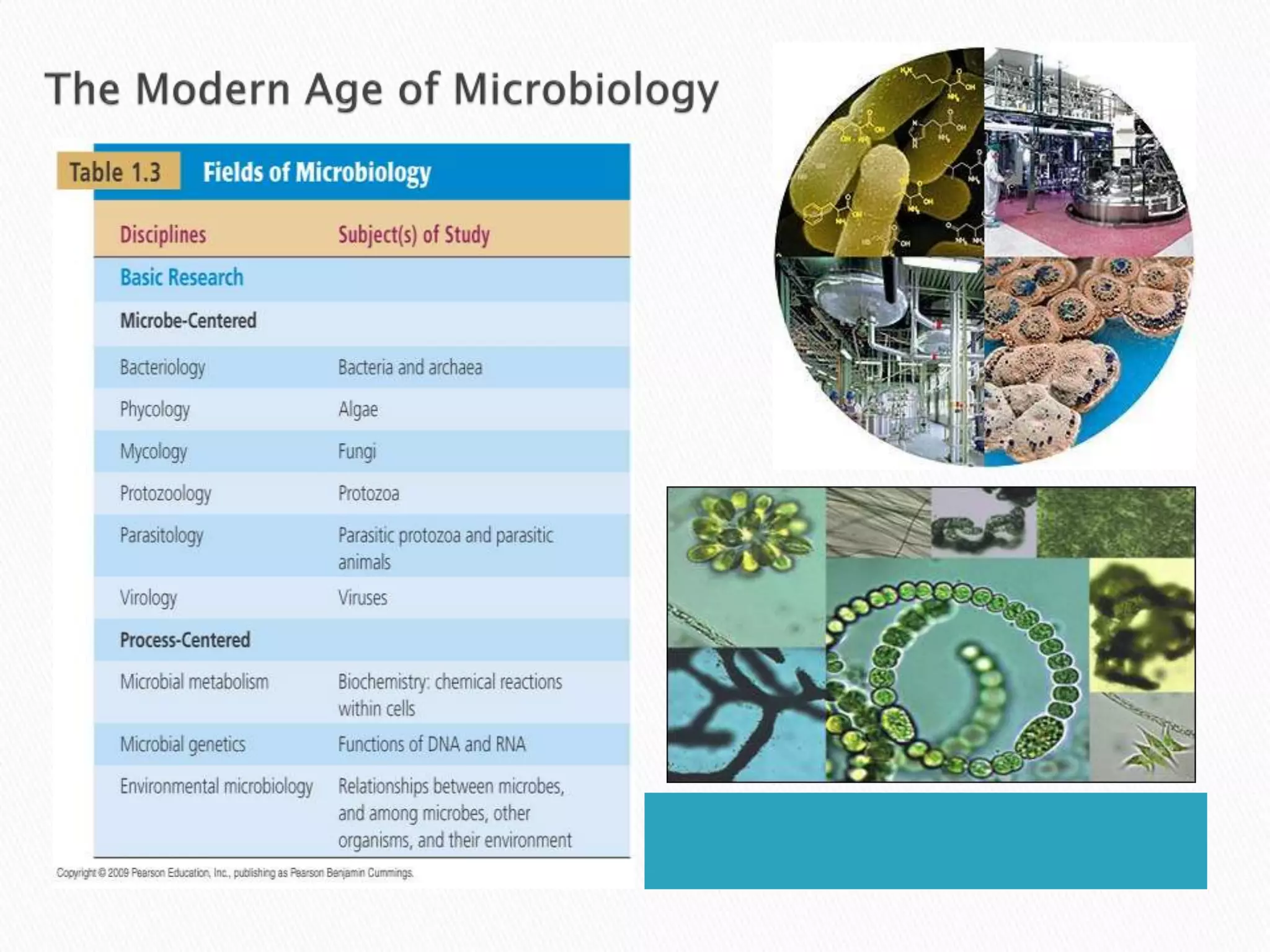 Introduction to Microbiology lecture 1.ppt