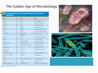 Introduction to Microbiology lecture 1.ppt