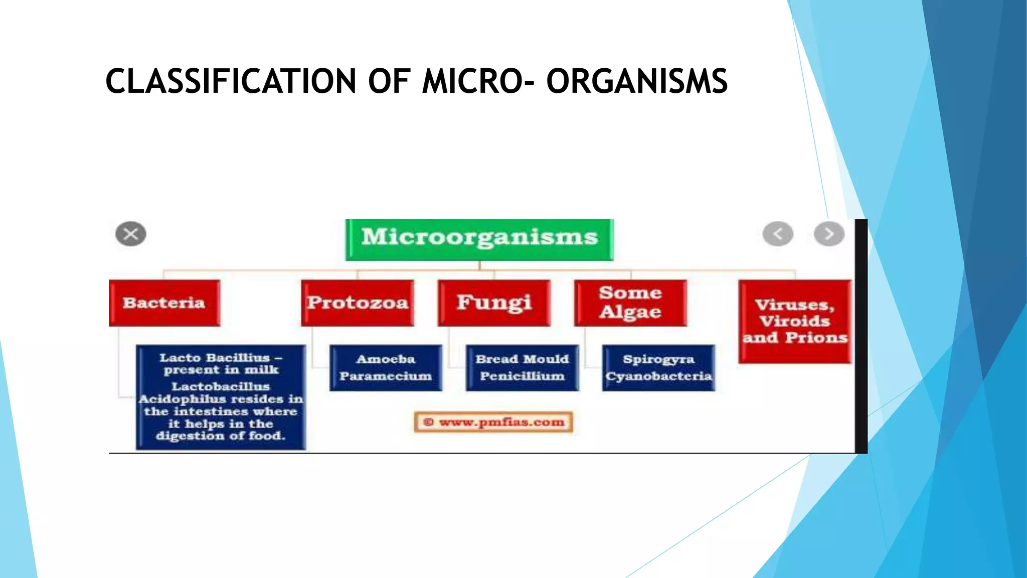 Introduction to microbiology UNIT 1 | PPTX