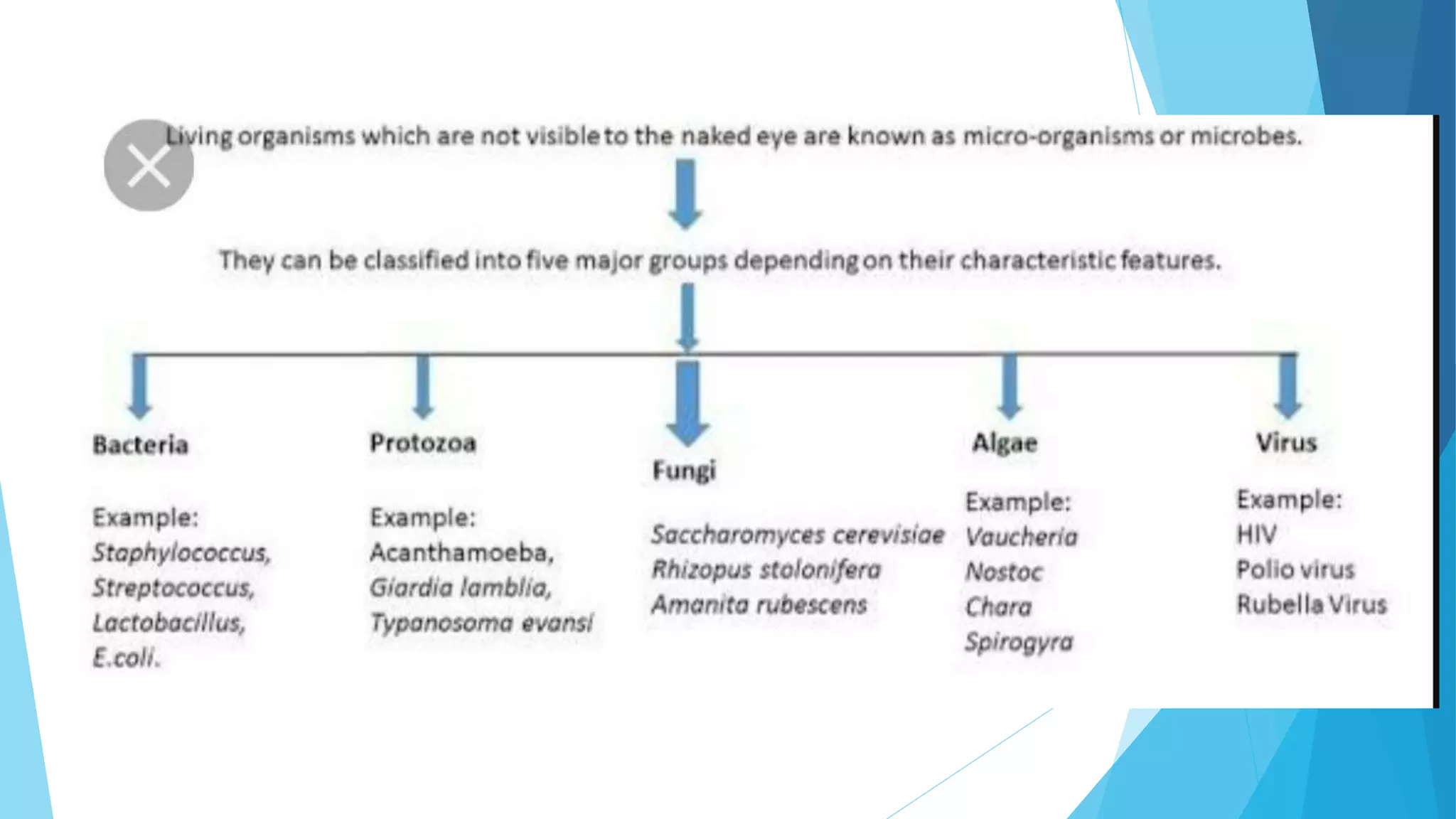 Introduction to microbiology UNIT 1 | PPTX