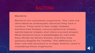 Introduction to microbiology part 1 | PPT
