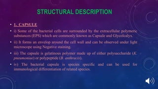 Introduction to microbiology part 1 | PPT