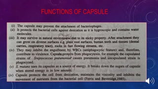 Introduction to microbiology part 1 | PPT