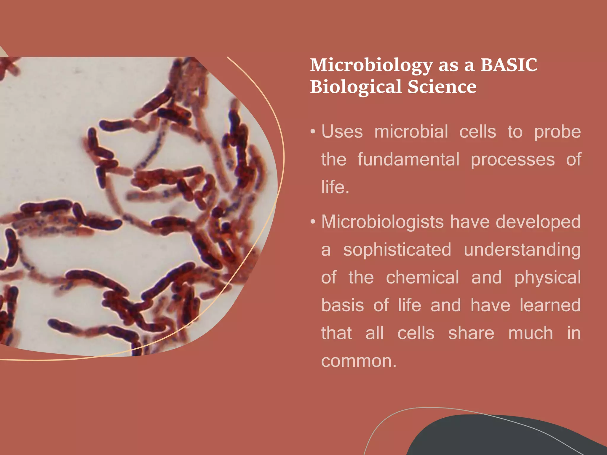 Introduction to Microbiology revised.ppt