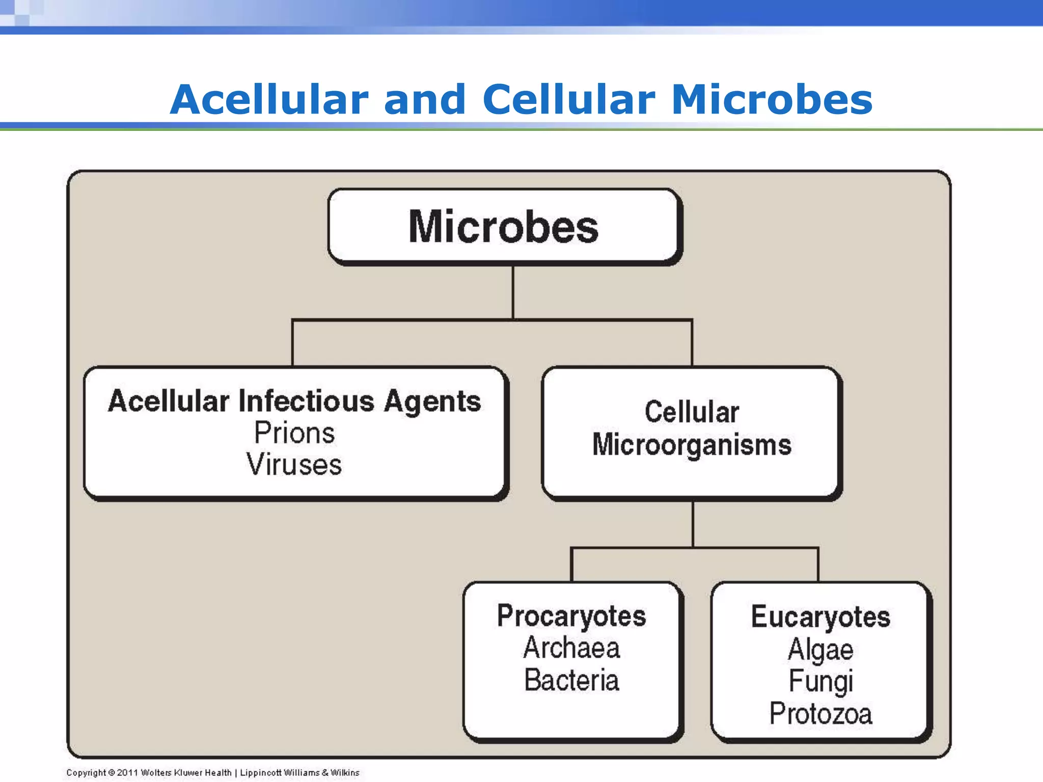 Introduction to Microbiology revised.ppt