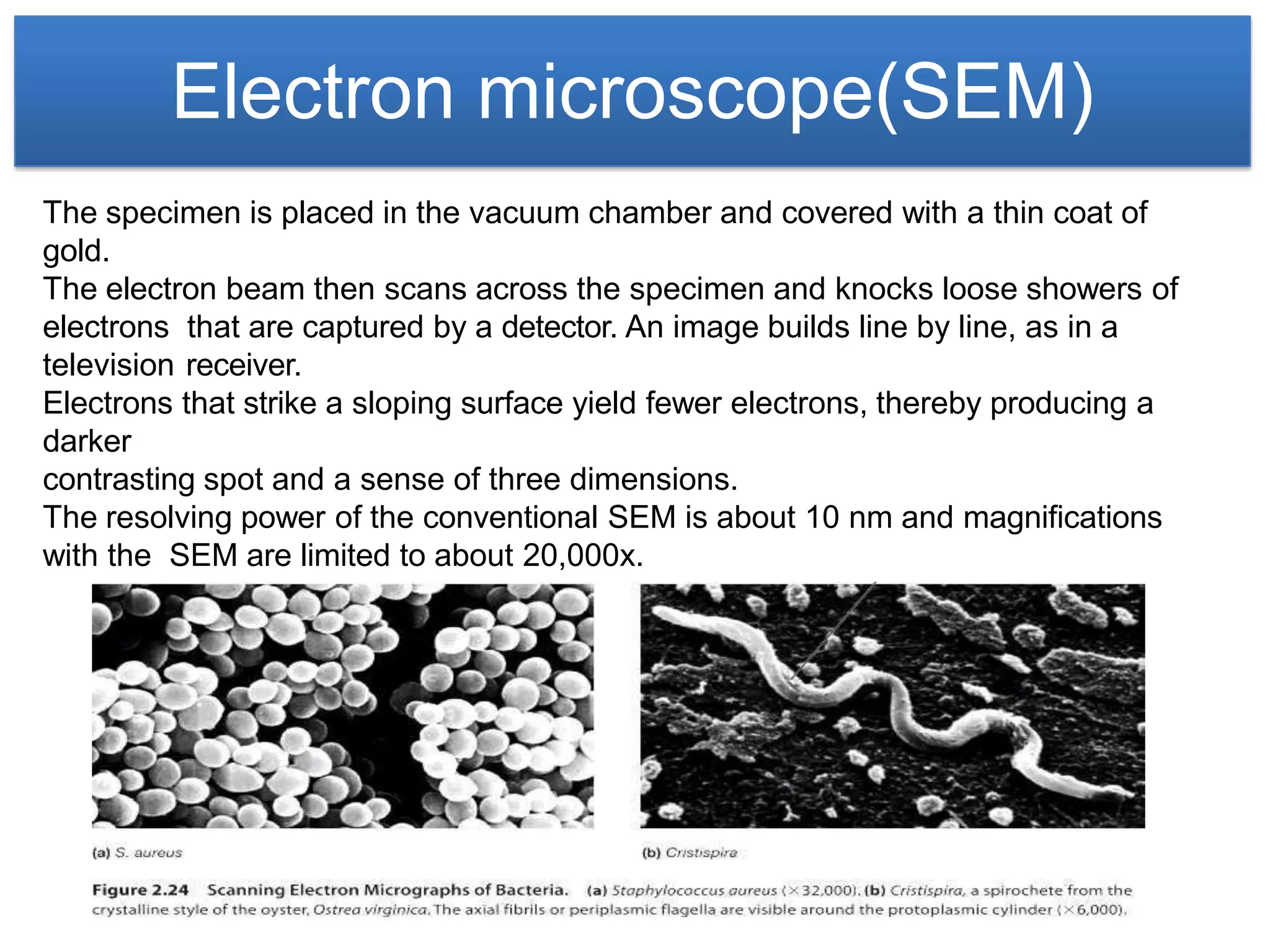 Introduction to microscope | PPTX