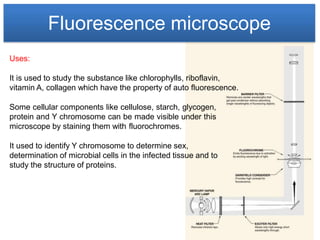 Introduction to microscope | PPTX