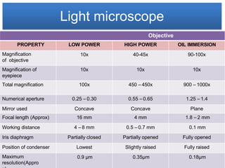 Introduction to microscope | PPTX | Photography | Arts and Crafts