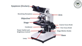 Introduction to Microscope | PPT