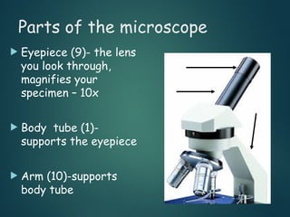 introduction_to_microscopes.pptintroduction_to_microscopes.ppt