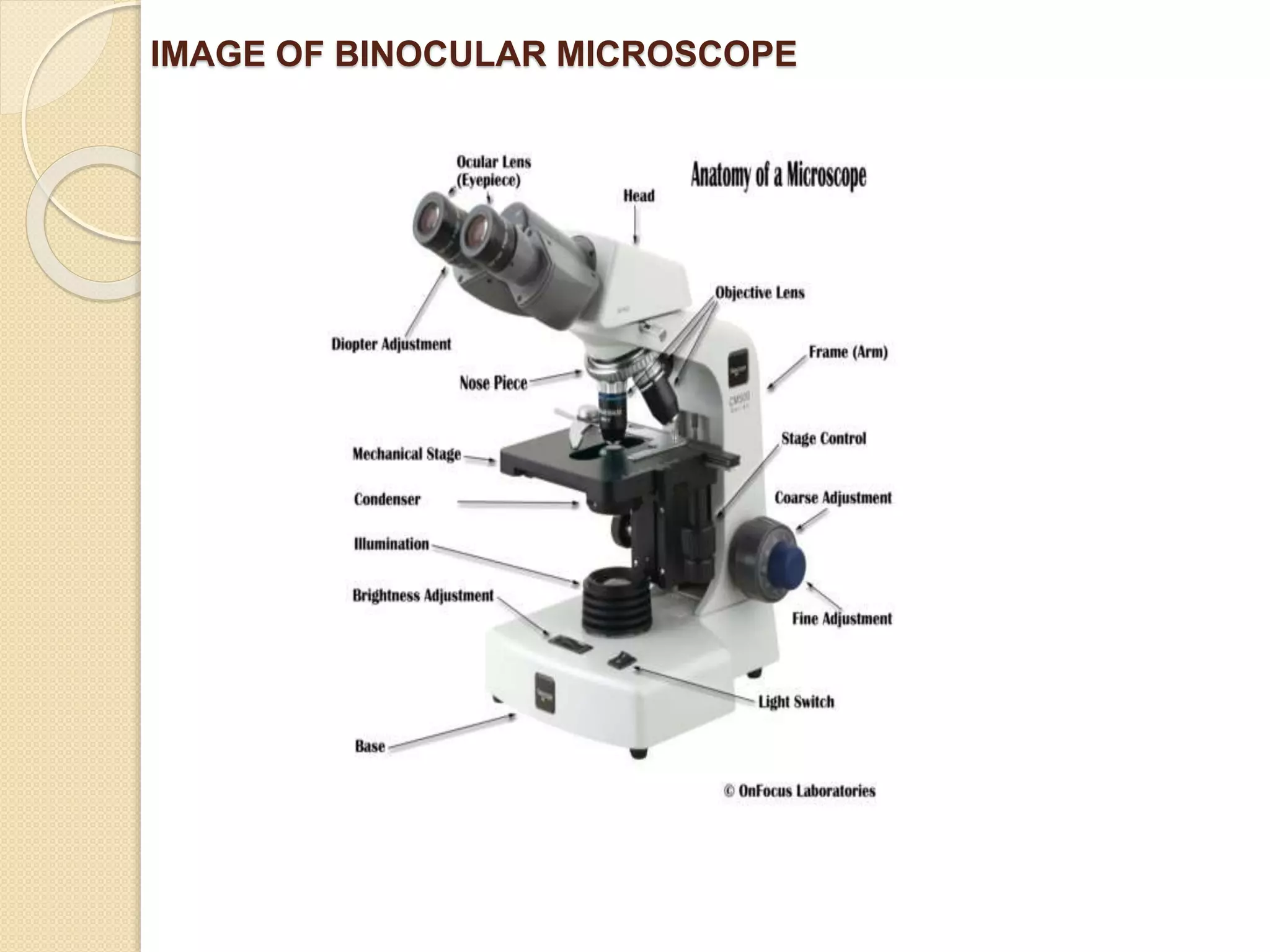 Introduction to microscopy | PPTX
