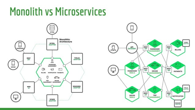 Introduction to Microservices.pdf | Cloud Computing | Internet