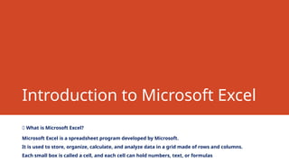 Introduction to Microsoft Excel (1).pptx