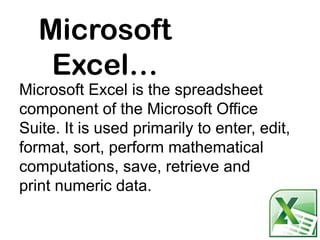 Introduction to Microsoft Excel Presentation.pptx