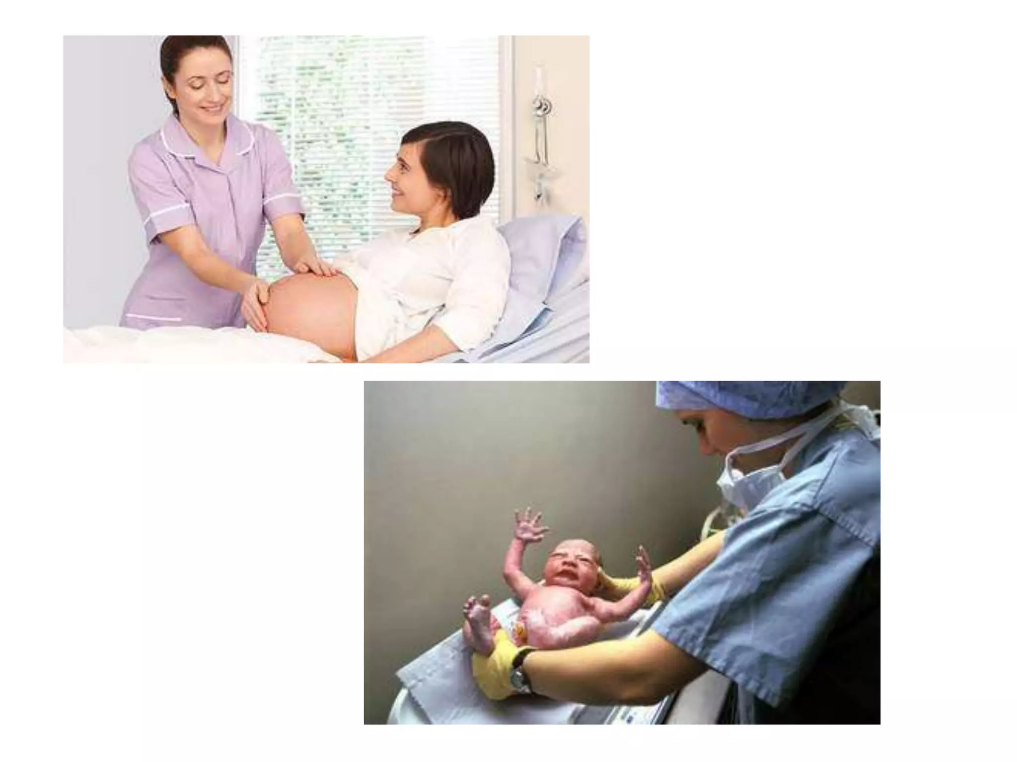 Introduction to midwifery | PPTX