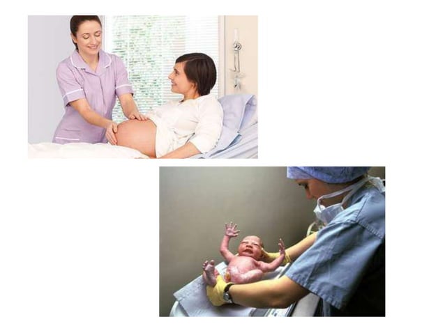 Introduction to midwifery | PPTX