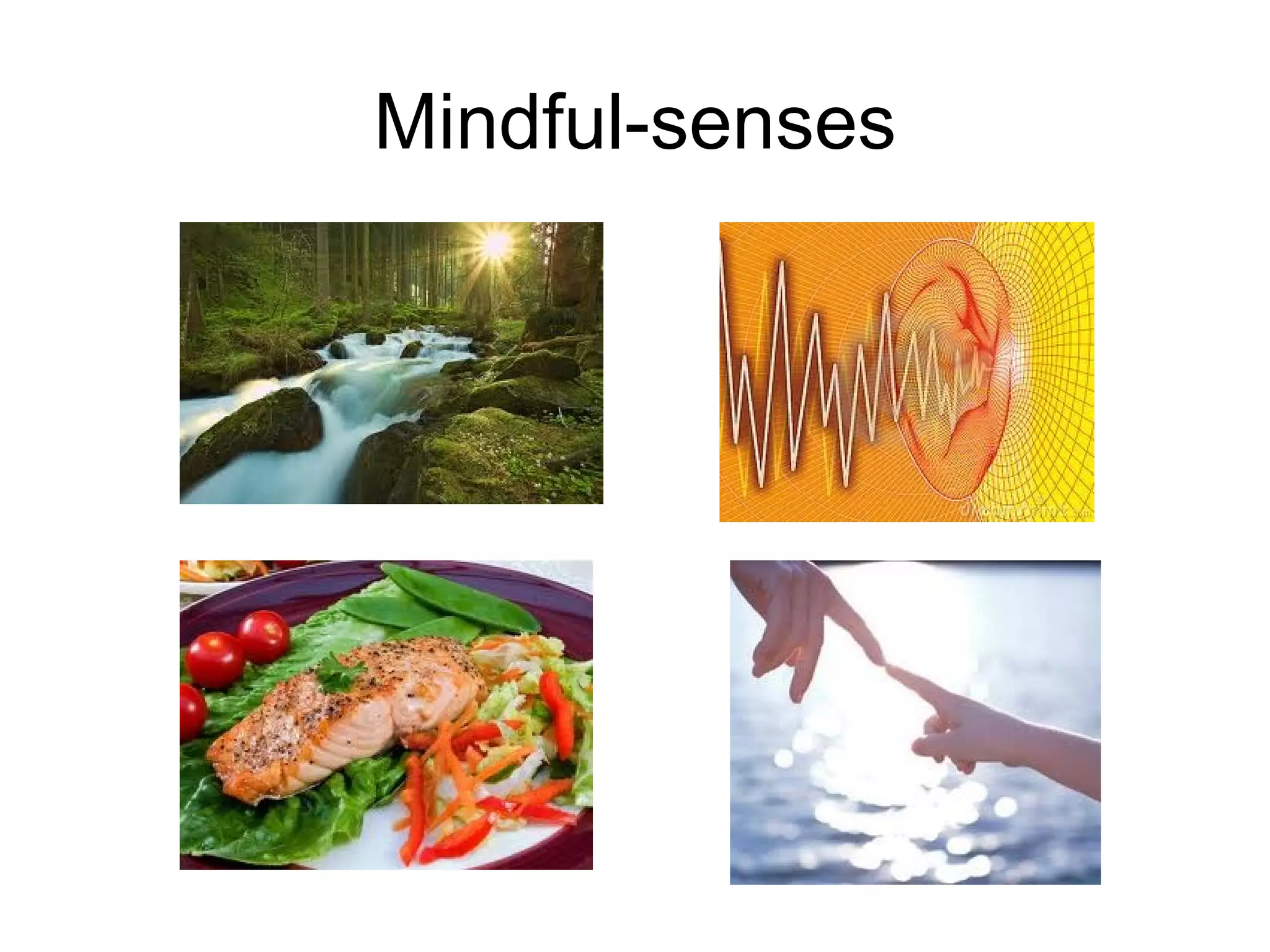 Introduction To Mindfulness | PPT