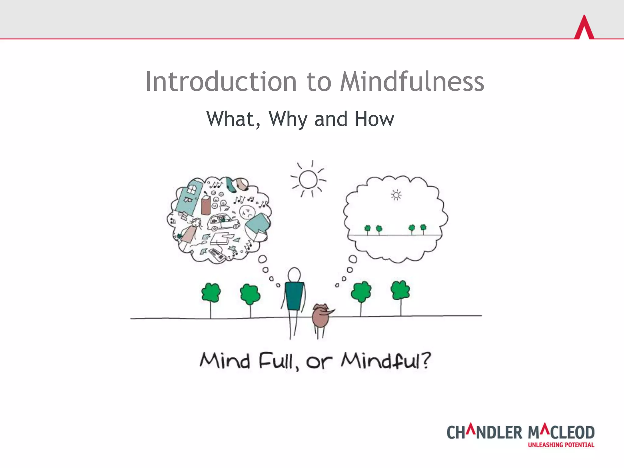 Introduction to mindfulness | PPT