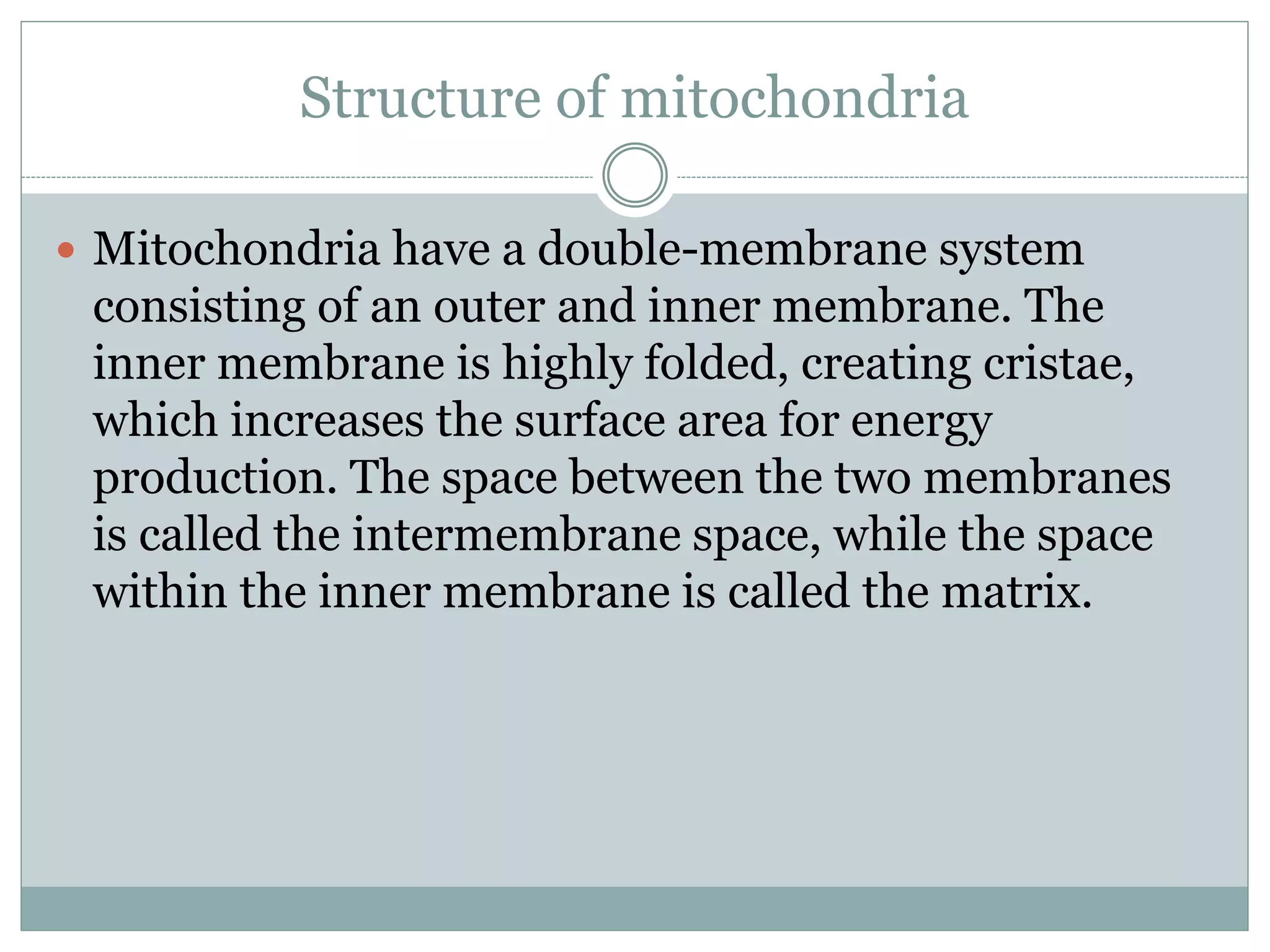 Introduction to mitochondria | PPTX