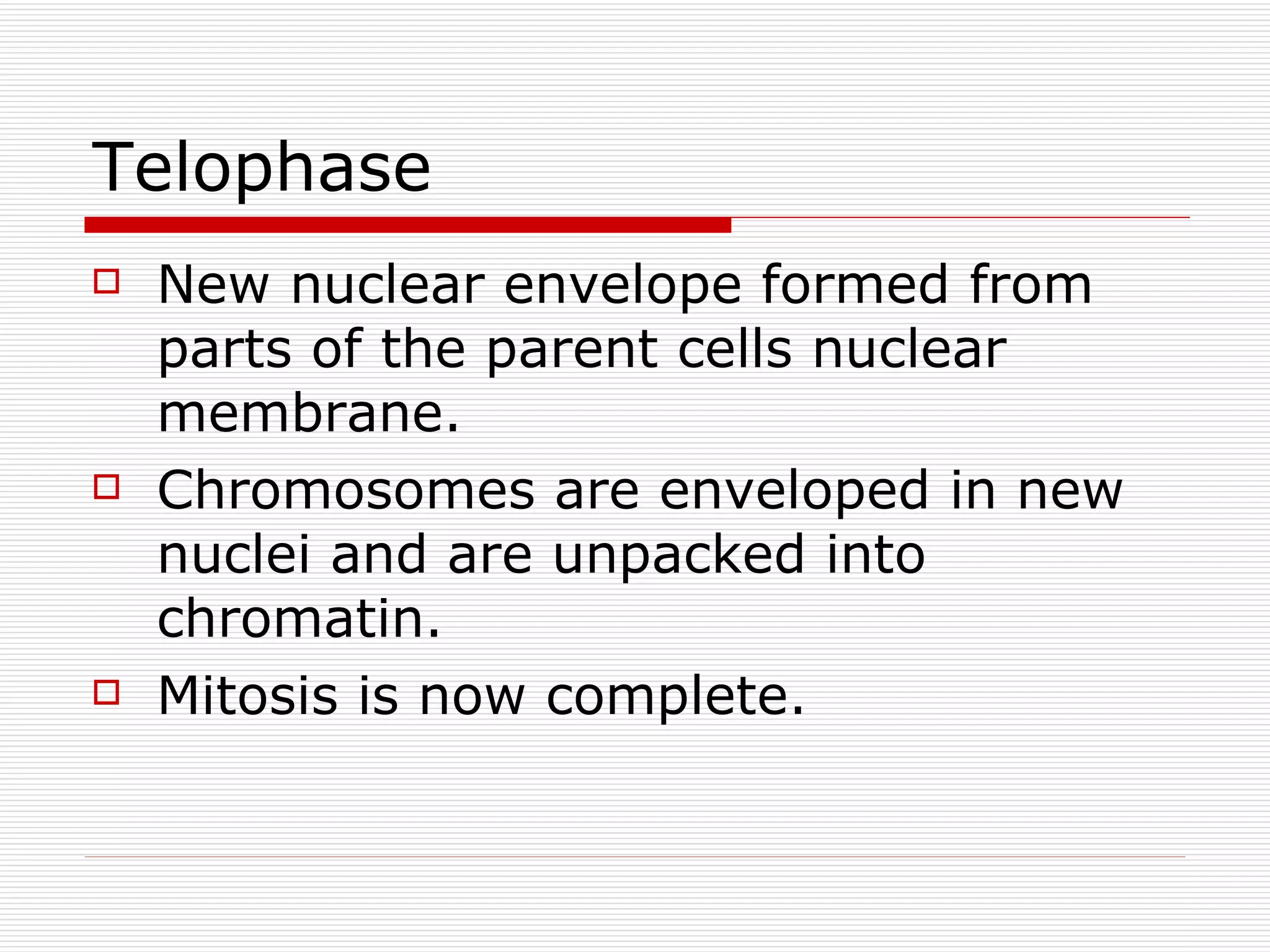 Introduction To Mitosis | PPT