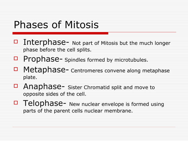 Introduction To Mitosis | PPT
