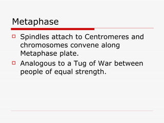 Introduction To Mitosis | PPT